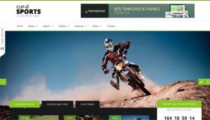 50+ Sports Templates and Themes in HTML